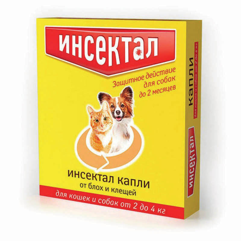 Капли от блох для кошек: как выбрать самое эффективное и безопасное ...